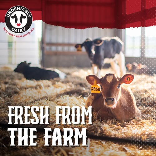 Pizza Ranch in Duluth, MN, MN | 1600 Miller Trunk Way